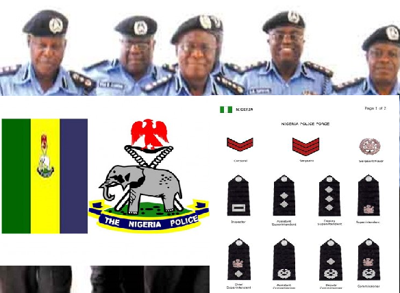 Nigeria Police Ranks and Symbols, Salary, Logo & Code (Updated). - School Drillers