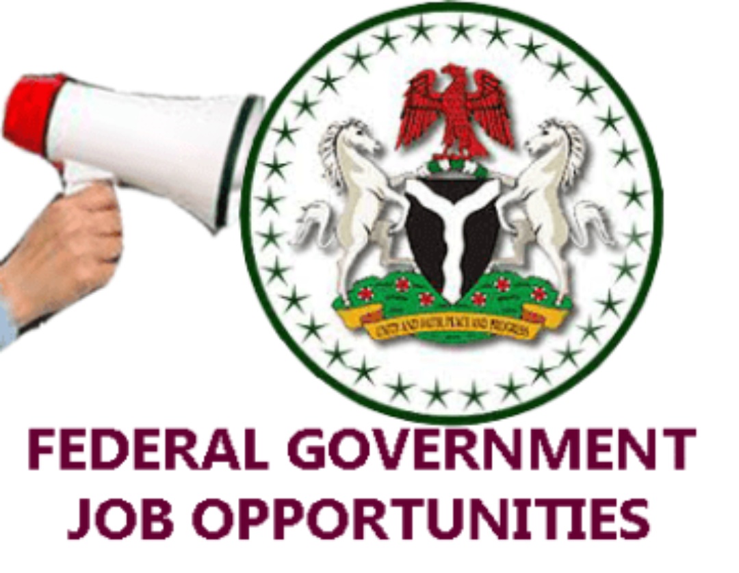 How To Get Federal Government Employment In Nigeria. - School Drillers