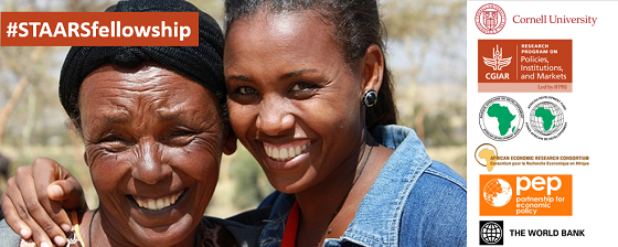 How To Apply For STAARS Fellowship Program 2021. - School Drillers