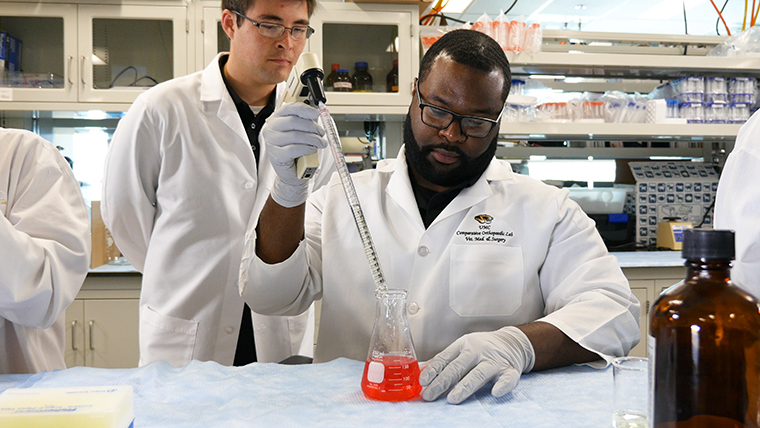 How To Apply For Post-doctoral Research Fellows 2022. - School Drillers