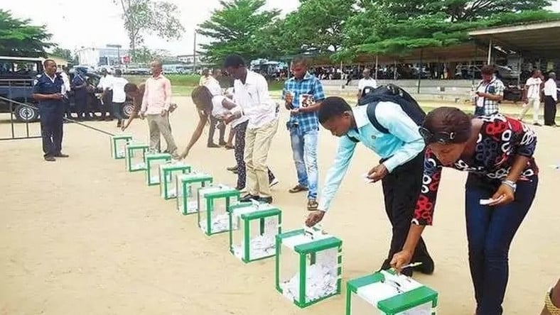 Most Essential Voting Tips In Nigeria (Importance Of Voting) - School ...