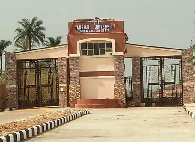 Full List Of Tansian University Approved Courses - School Drillers