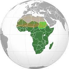 The Summary Of The Shape Of Africa - School Drillers