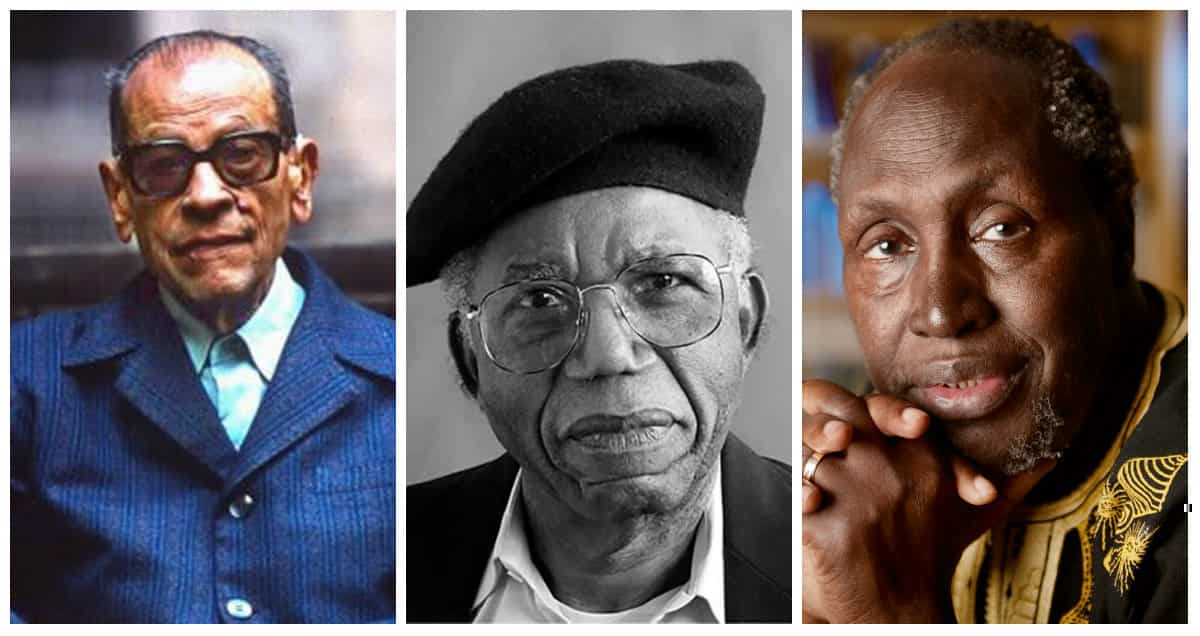 Best Literature Writers In Africa And Their Country - School Drillers