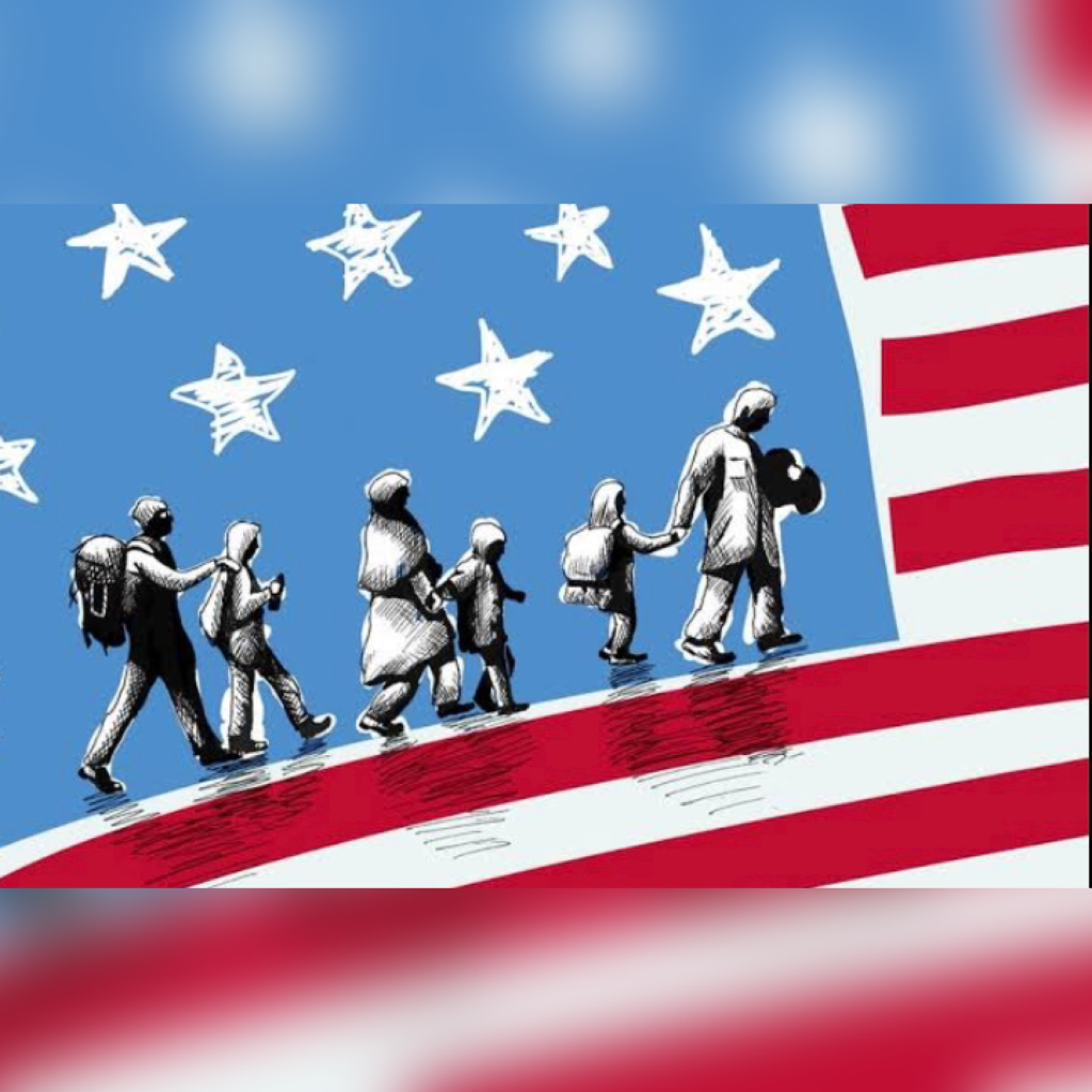 Important Things To Know About Immigration - School Drillers