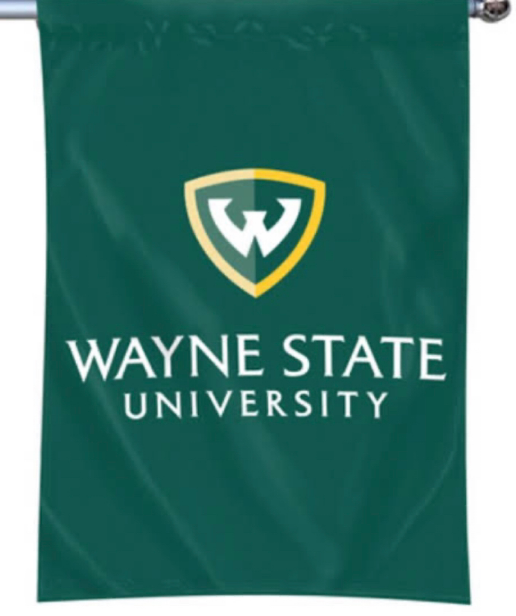 Wayne State University Tuition For International Students