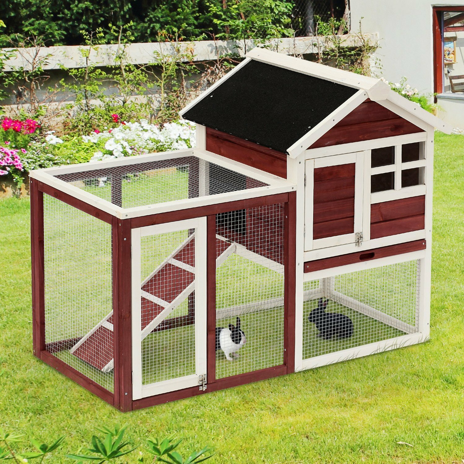 Best Rabbit Cages, Rabbit Zodiac Years, Rabbit Types And Rabbit Food ...
