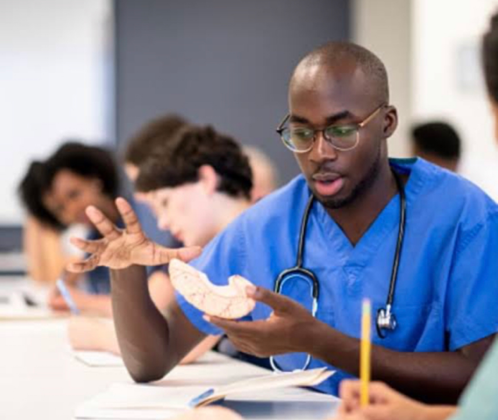 Why The Profession Of Nursing Is Valued Worldwide - School Drillers