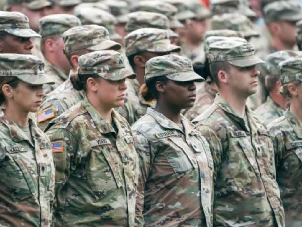 The Areas You Can Specialize In The Millitary - School Drillers