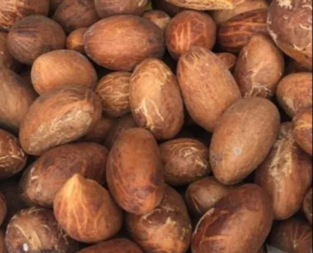 10 Benefits of Bitter Kola: What is the Side Effect of Kola Nut