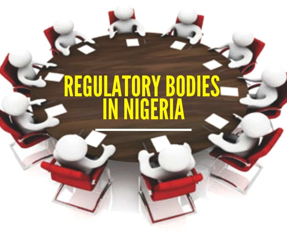 All Regulatory Agencies In Nigeria And Their Functions - School Drillers