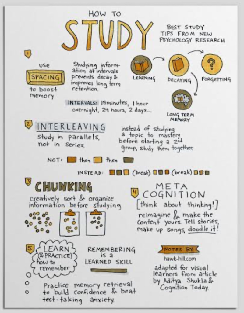 Study Techniques To Score A+, Students Love It - School Drillers