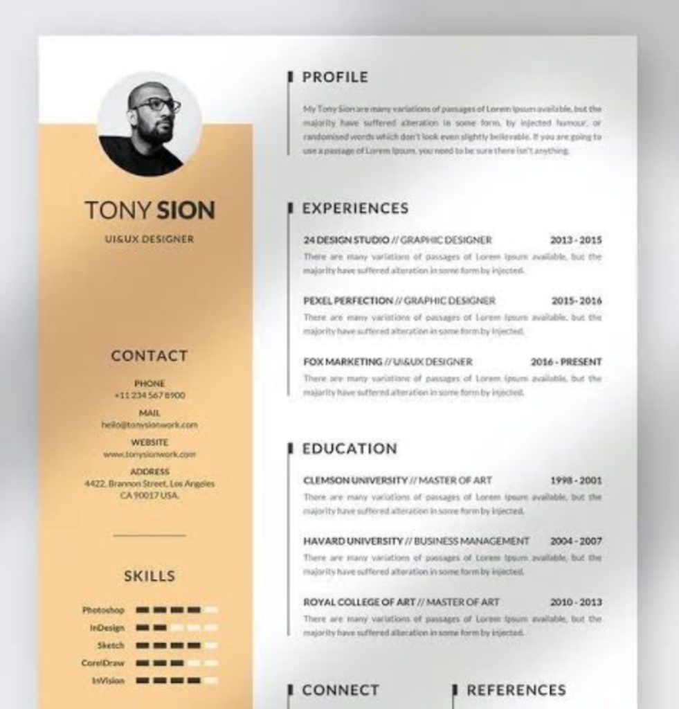 How To Write A Simple CV In Nigeria - School Drillers