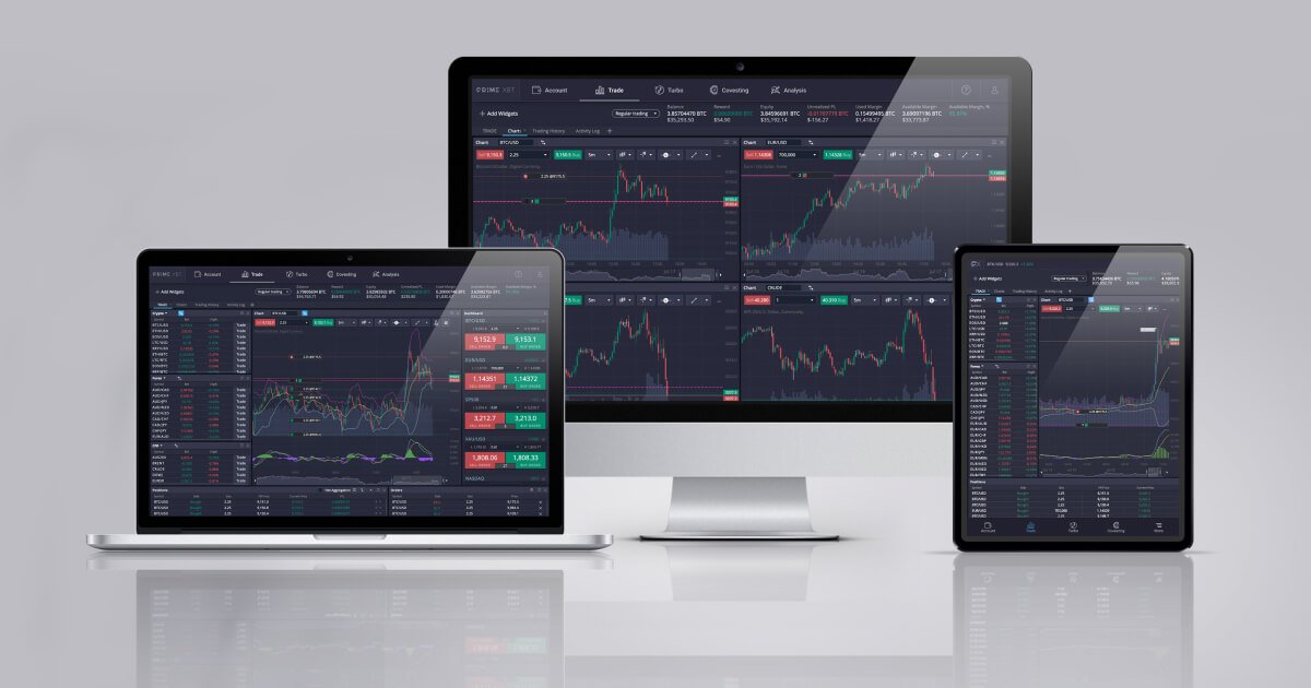 Navigating The Stablecoin Ecosystem: A Beginner's Guide - School Drillers