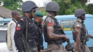 List of Nigerian Police Sections and their Functions - School Drillers
